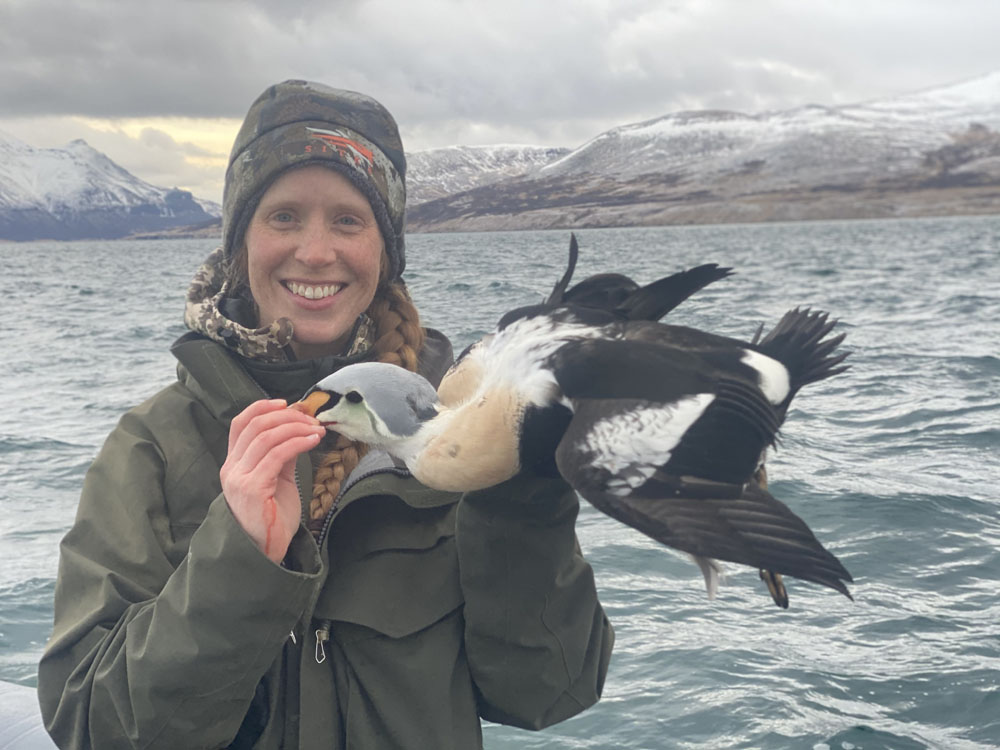 Alaska King Eider Outfitter - Four Flyways Outfitters